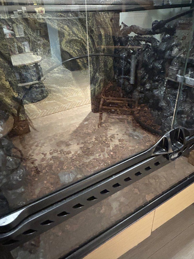 Reptile cage Fish tank, Pet Supplies, Homes & Other Pet Accessories on ...