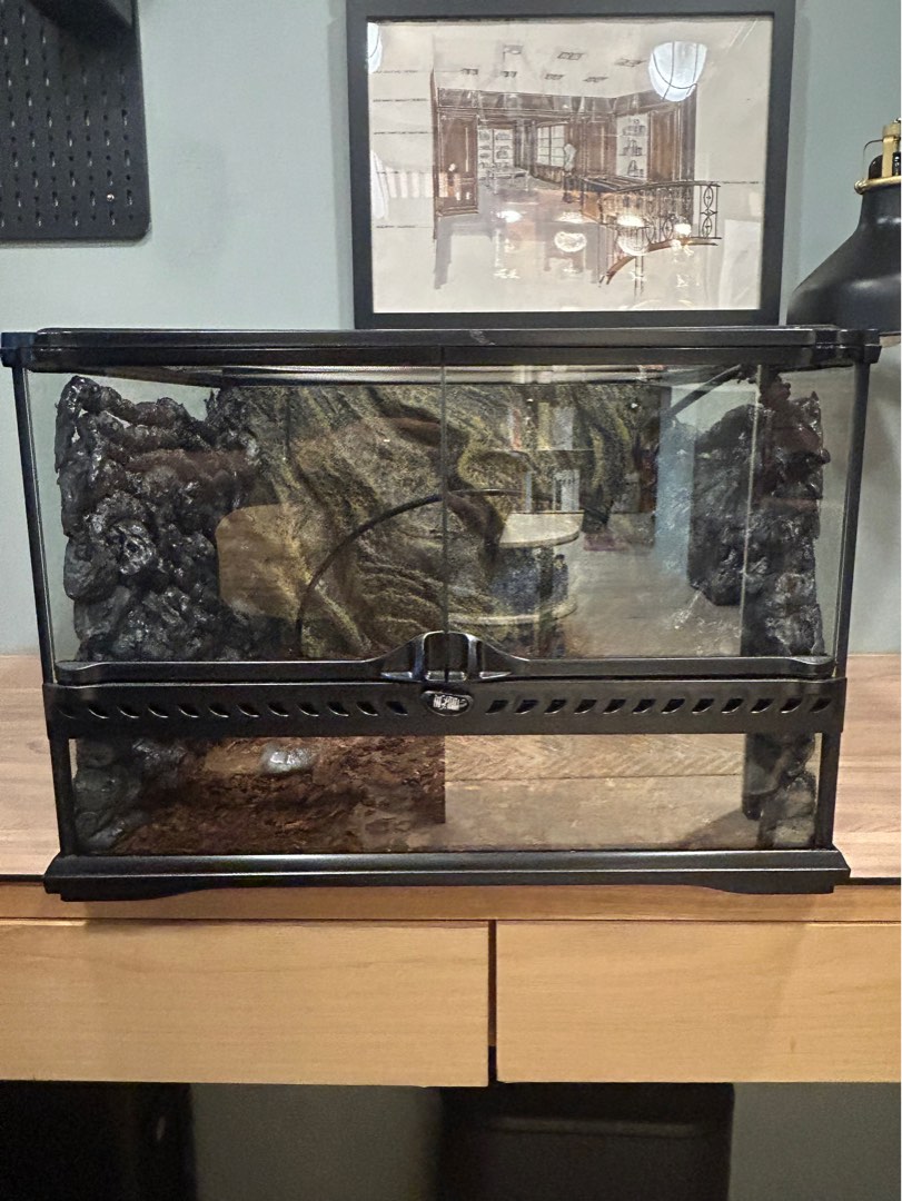Reptile cage Fish tank, Pet Supplies, Homes & Other Pet Accessories on ...
