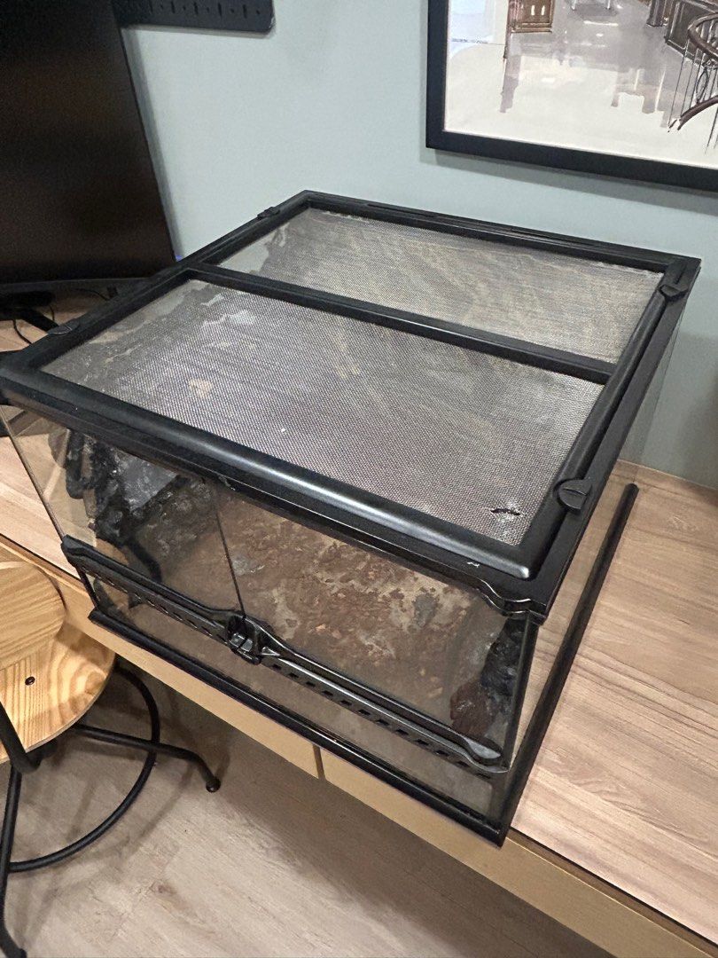 Reptile cage Fish tank, Pet Supplies, Homes & Other Pet Accessories on ...