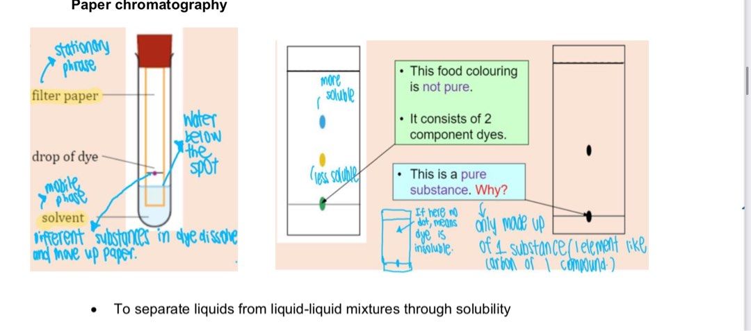 RGS Sec 1 science notes, Hobbies & Toys, Books & Magazines, Textbooks ...