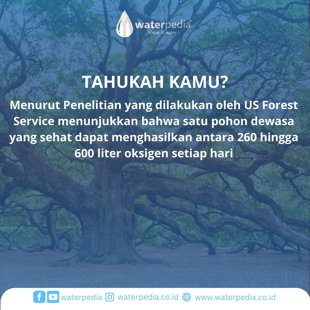 tahukah kamu, Desain & Kerajinan Tangan, Lainnya di Carousell tahukah kamu, Desain & Kerajinan Tangan, Lainnya di Carousell