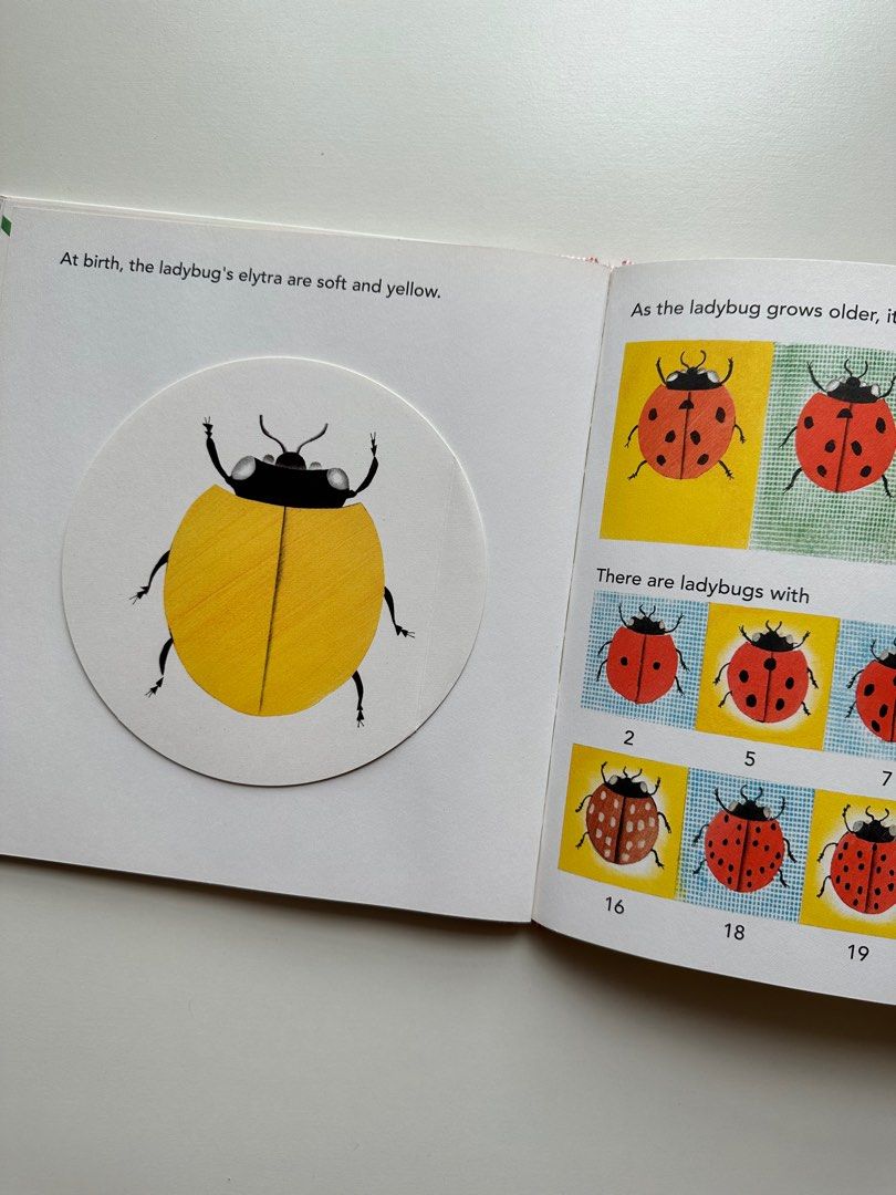 The Ladybug (interactive book) on Carousell