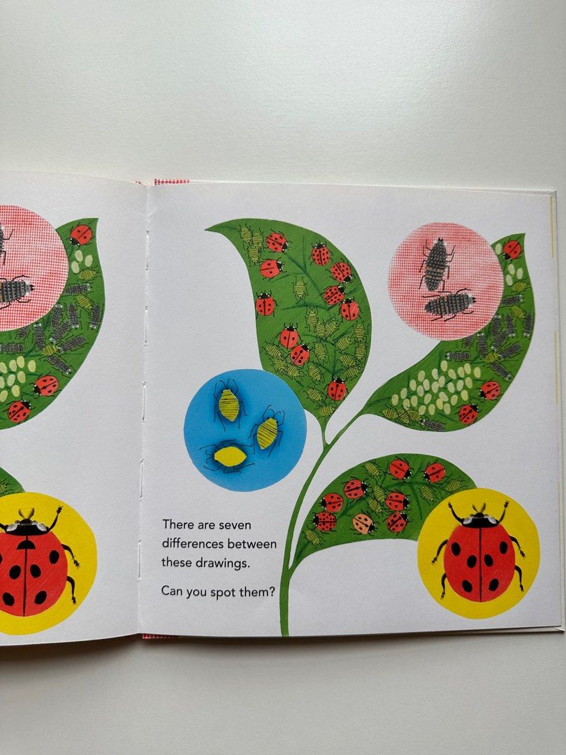 The Ladybug (interactive book) on Carousell