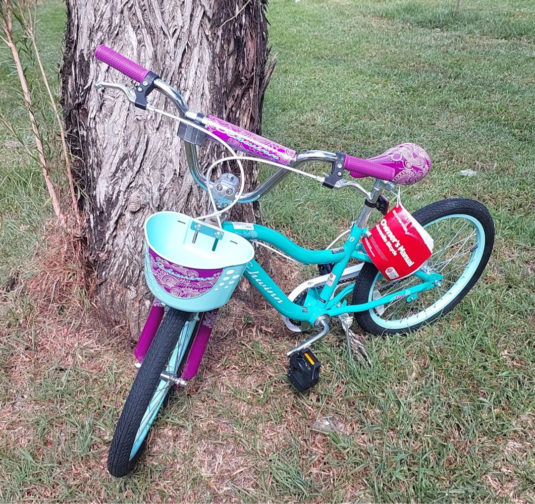 TP-SCHWINN Koen & Elm Big Kids Bike, 20-Inch Wheels, Sports Equipment, Bicycles & Parts ...