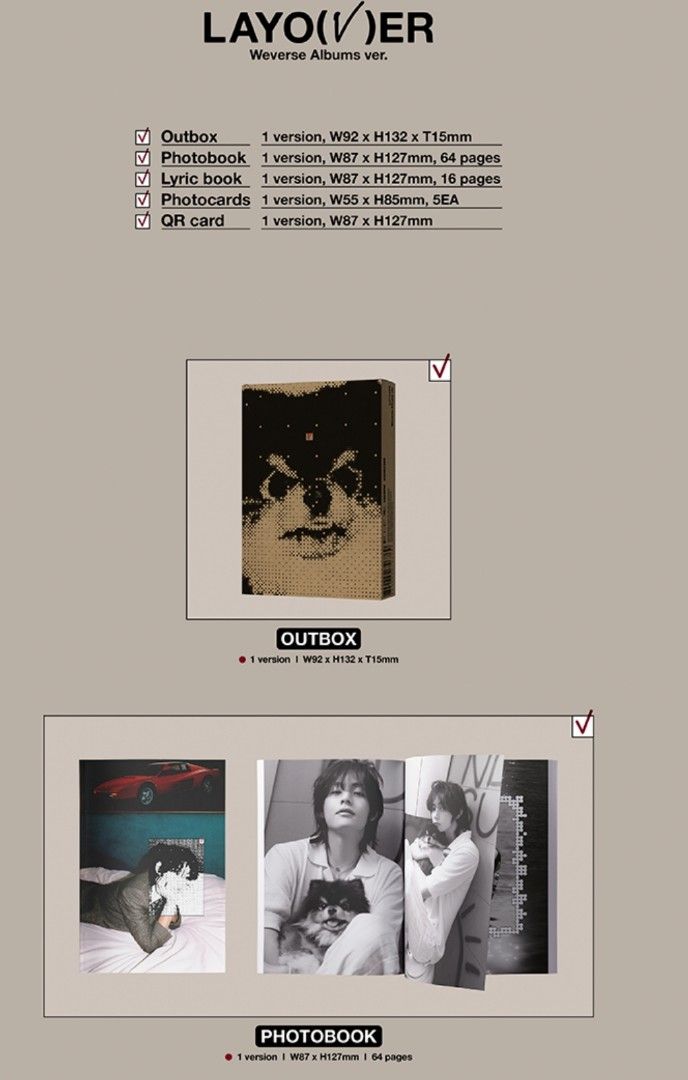 V solo album 'Layover' (non profit), Hobbies & Toys, Memorabilia ...