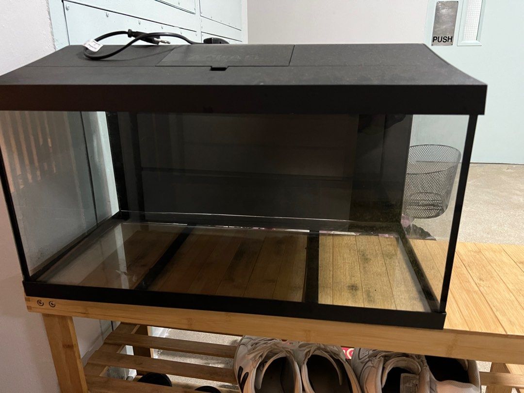 2ft fish tank, Pet Supplies, Homes & Other Pet Accessories on Carousell