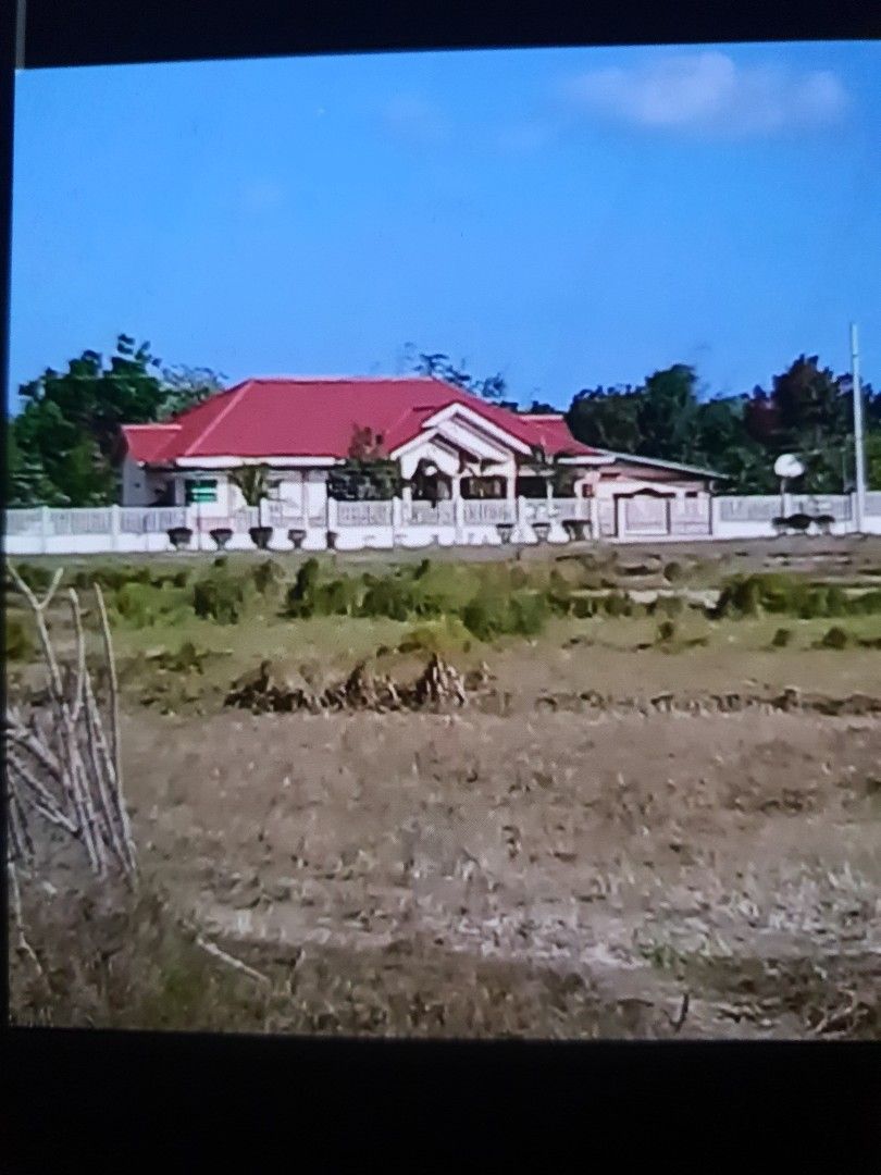 4000 square meters near hiway Rosario Batangas, Property, For Sale, Lot ...