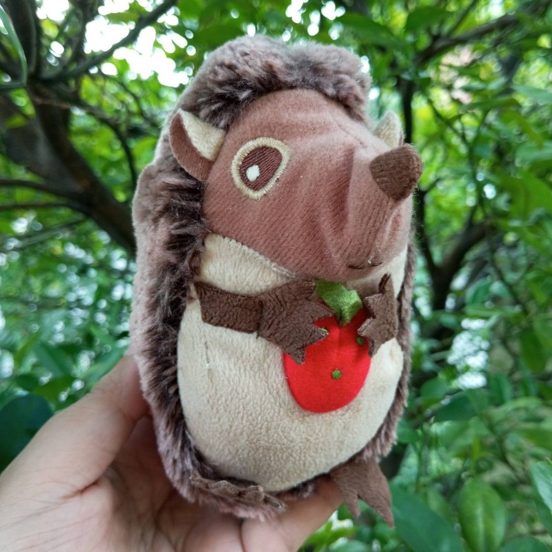 Baby Hedge Hog Plush Toy on Carousell