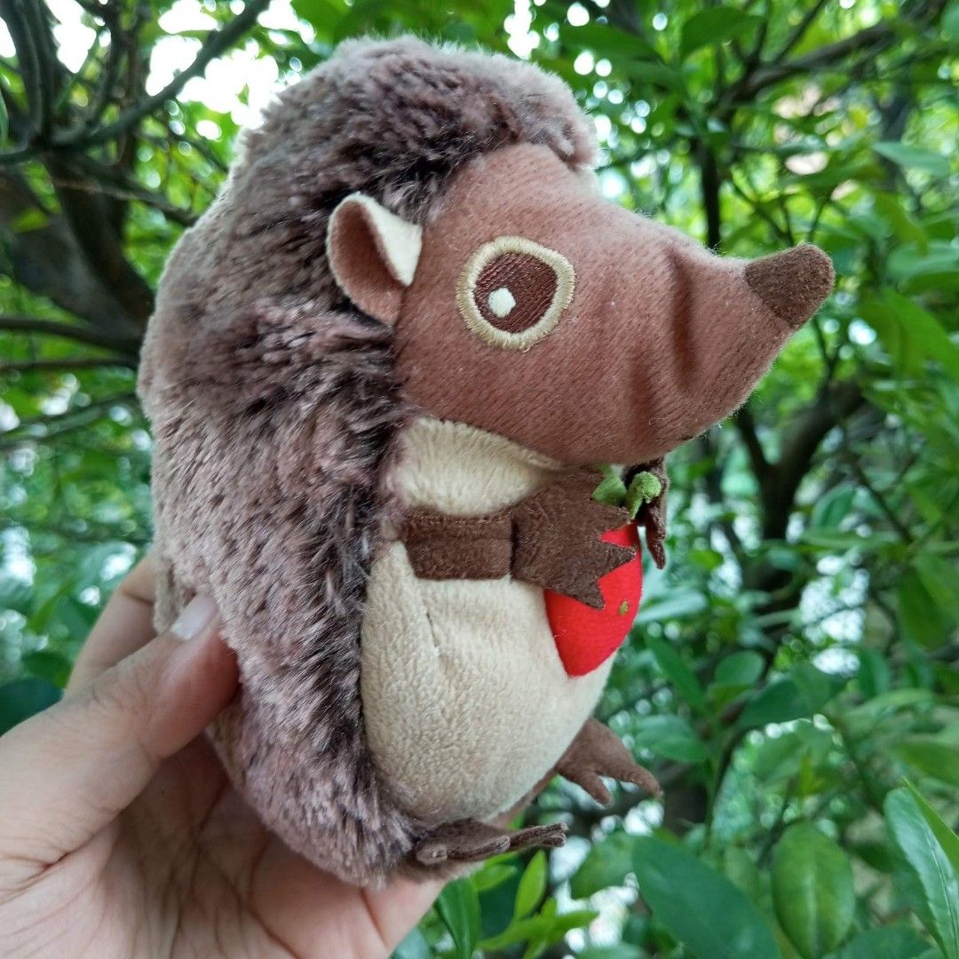 Baby Hedge Hog Plush Toy on Carousell