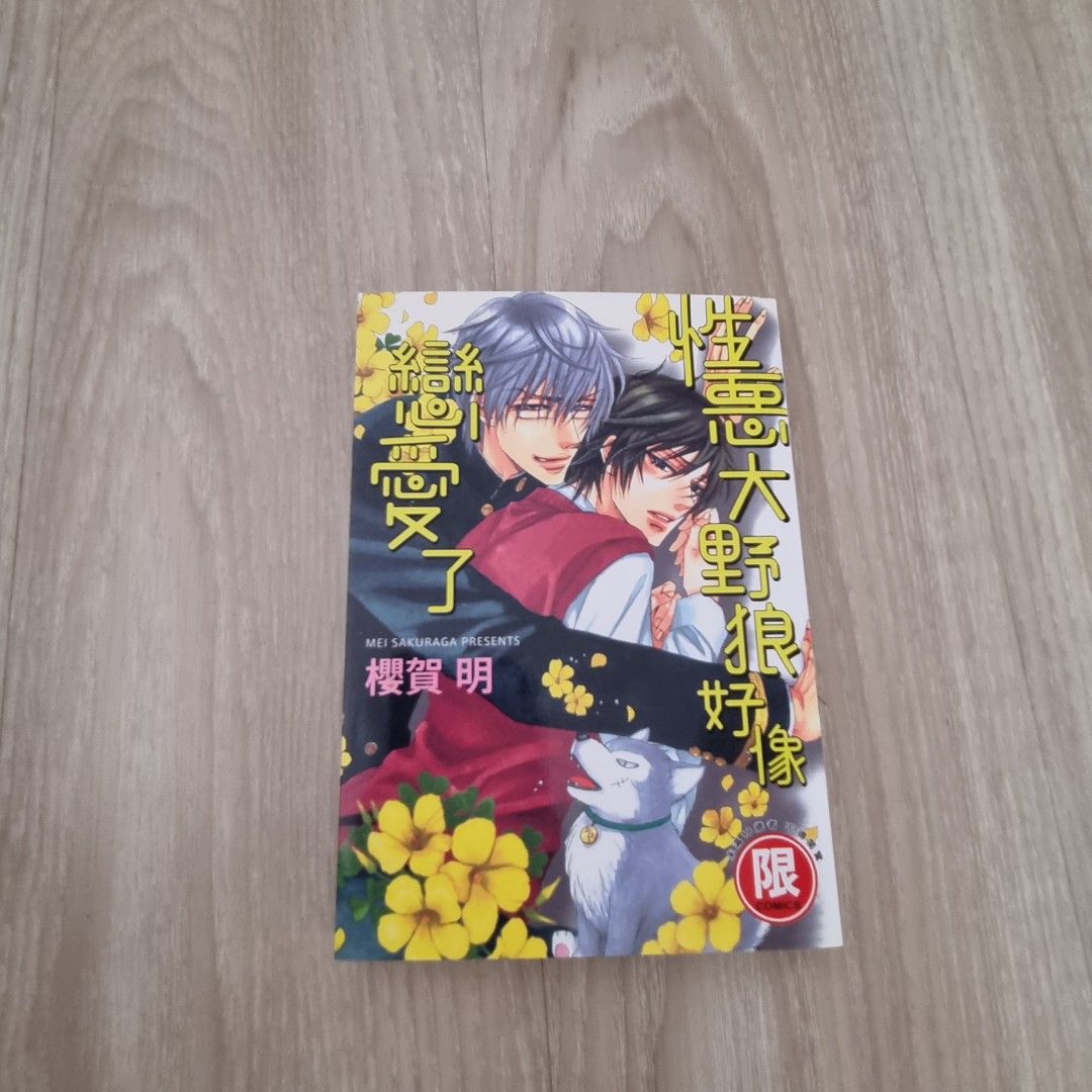 BL Yaoi Mangas by Takagi Ryo and Mae Sakuraga, Hobbies & Toys, Books & Magazines, Comics & Manga ...