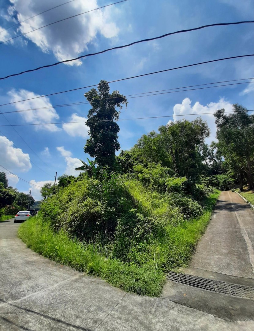 For Sale Vacant Lot 1 Timberland, San Mateo Rizal on Carousell