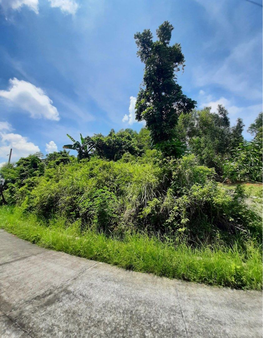 For Sale Vacant Lot 1 Timberland, San Mateo Rizal on Carousell