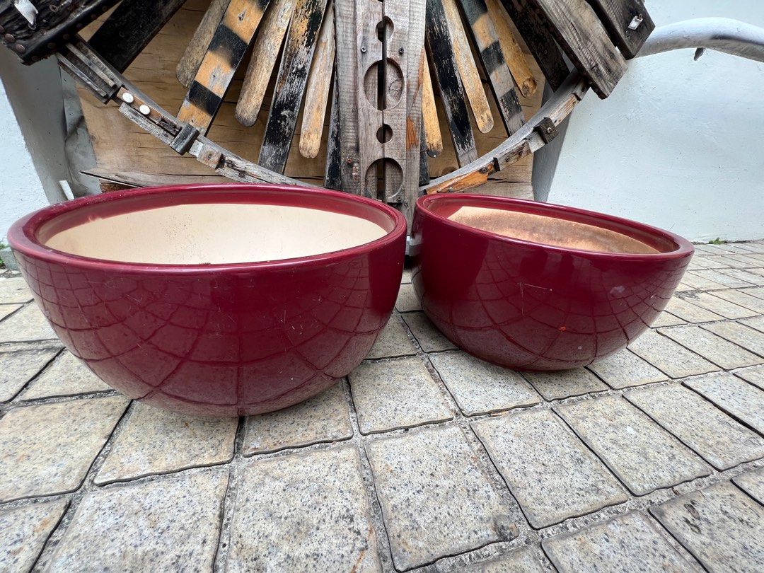 Large low profile Bowl pot, Furniture & Home Living, Gardening, Pots ...