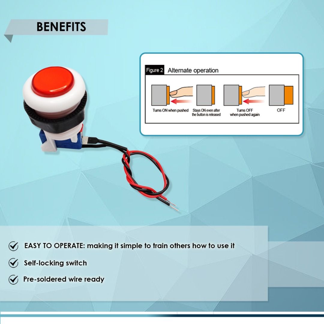 PUSH BUTTON SWITCH with MICRO SWITCH 2-PIN and 5inc WIRE, FREE M-F ...