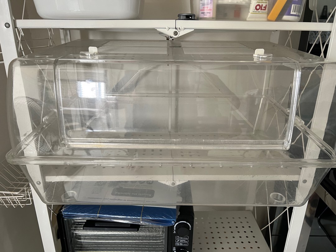 Tafit Clear Cage, Pet Supplies, Homes & Other Pet Accessories on Carousell