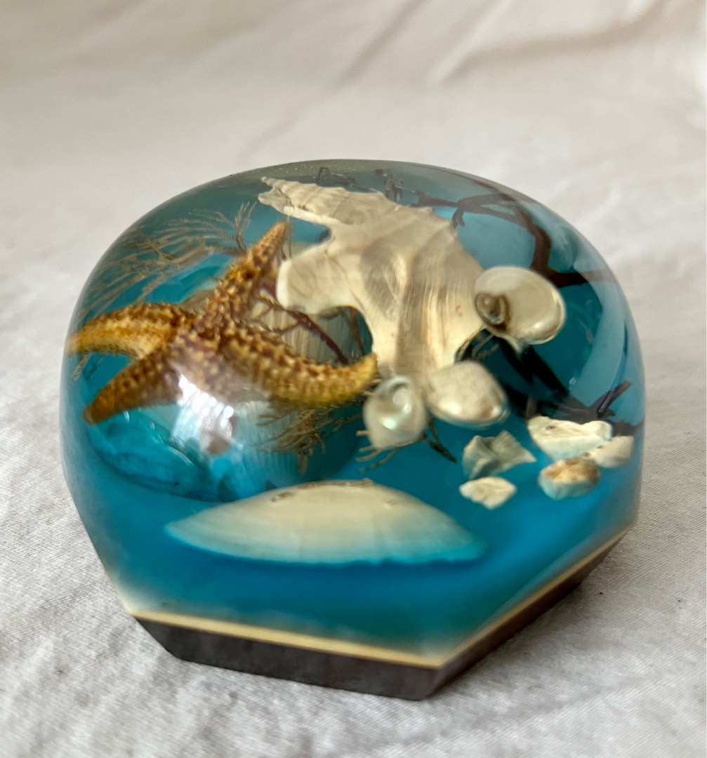 Vintage Seashells Paperweight, Hobbies & Toys, Collectibles ...
