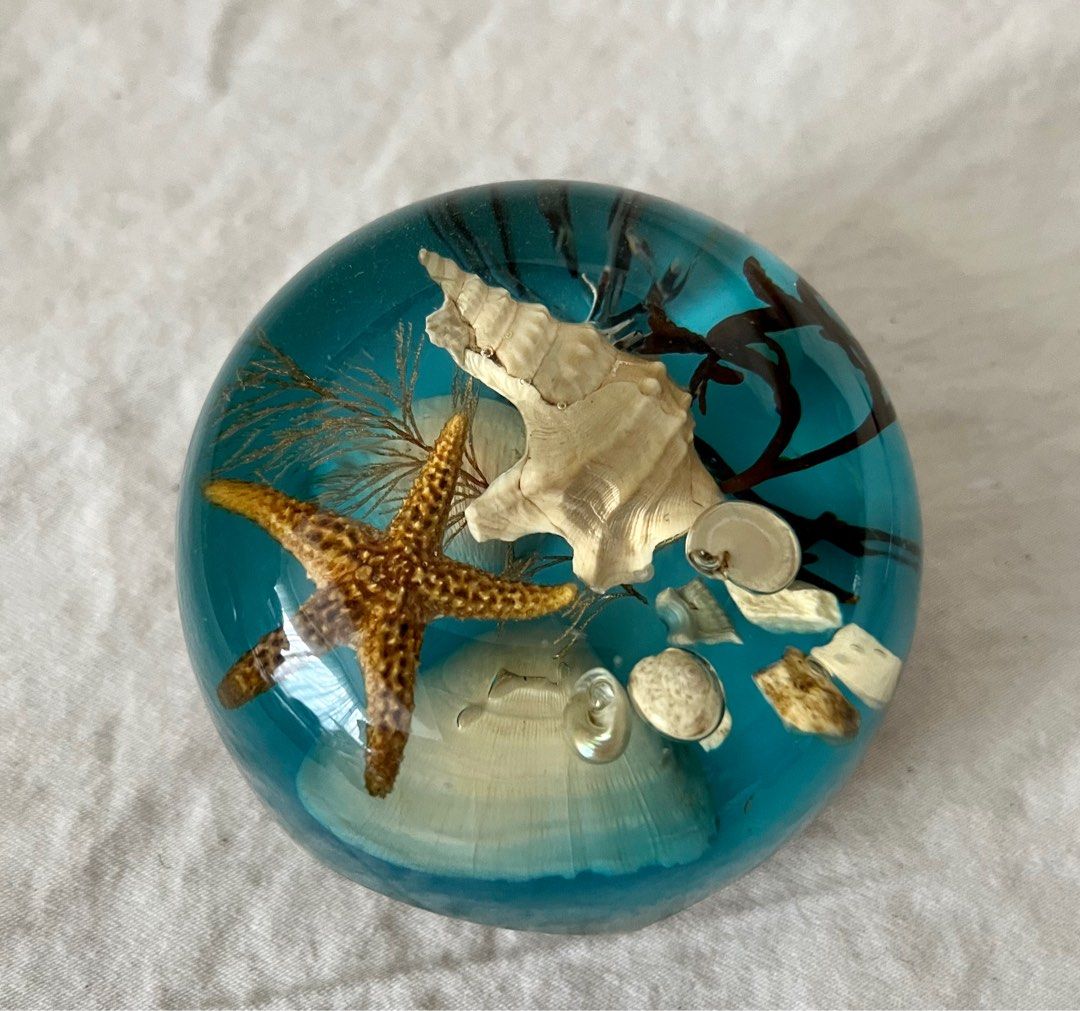 Vintage Seashells Paperweight, Hobbies & Toys, Collectibles ...