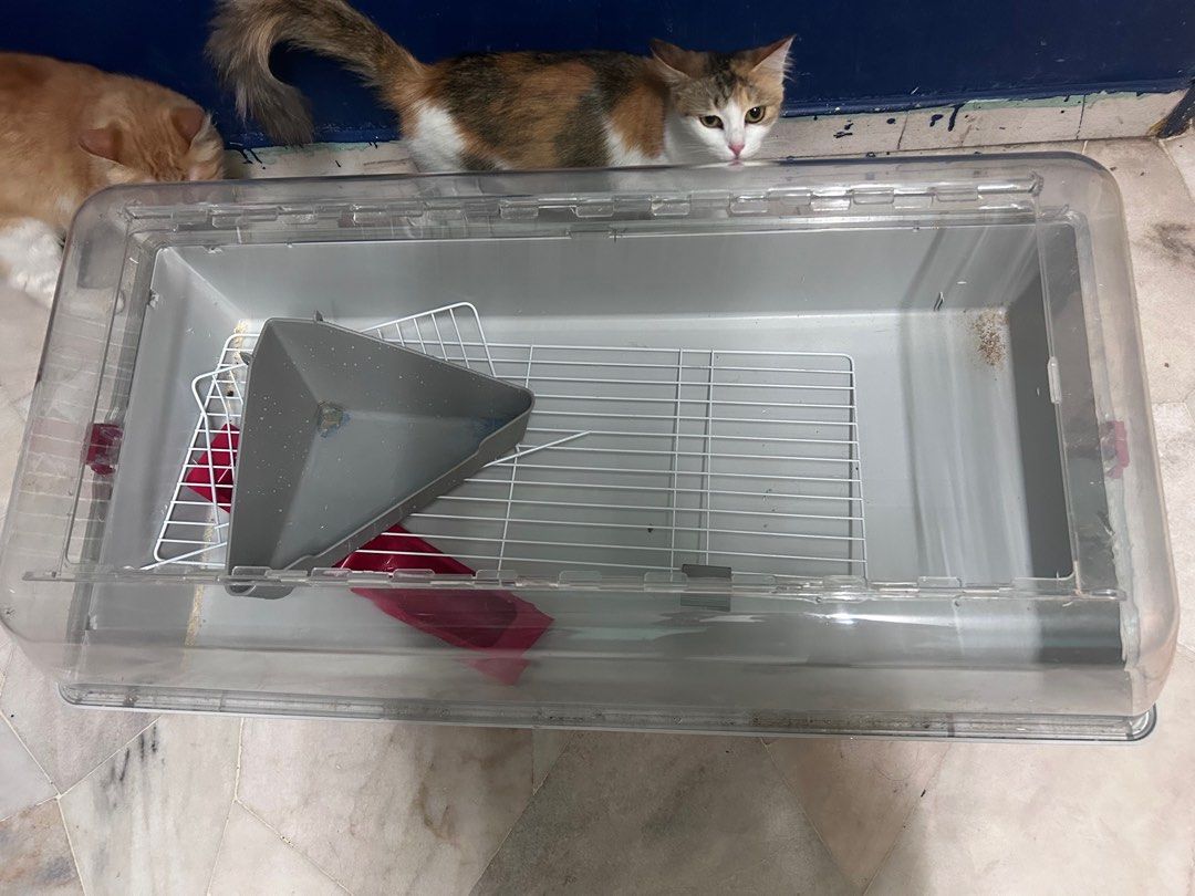 Zoo Zone 2 - Hamster / Small Pet Cage , Pet Supplies, Homes & Other Pet Accessories on Carousell