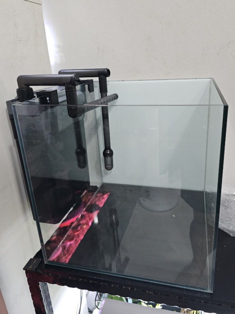 1ft (30cm) cube tank, Pet Supplies, Homes & Other Pet Accessories on ...