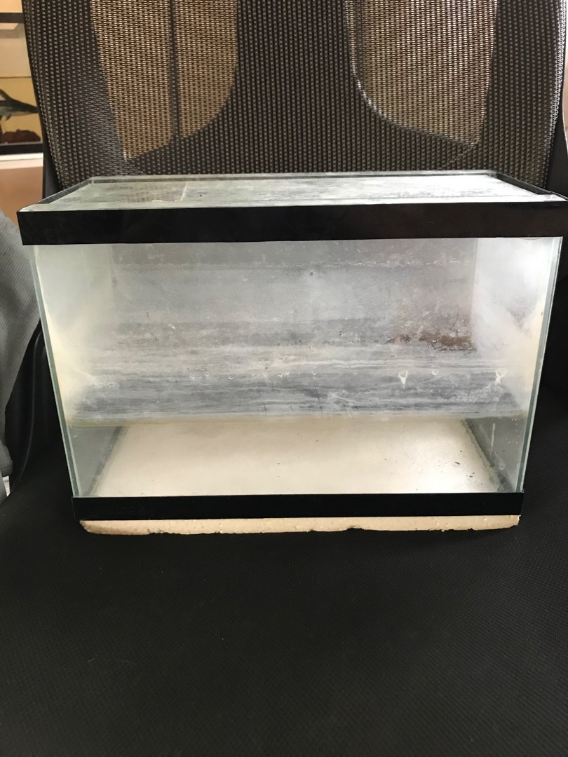 2.5 gal aquarium on Carousell