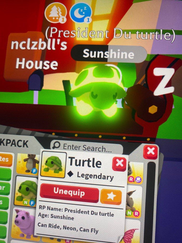 Adopt me neon turtle, Video Gaming, Gaming Accessories, In-Game ...