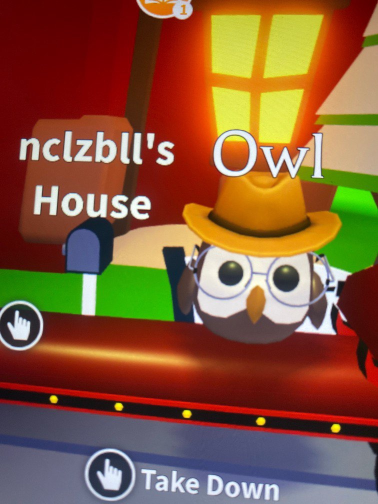 Adopt me Owl, Video Gaming, Gaming Accessories, In-Game Products on ...