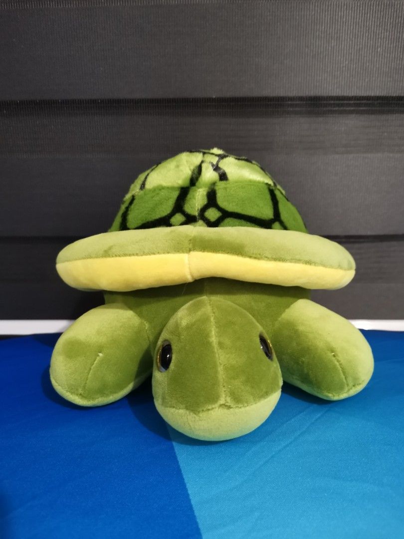 Cute Turtle Stuffed Toy / Plush Toy, Hobbies & Toys, Toys & Games on ...