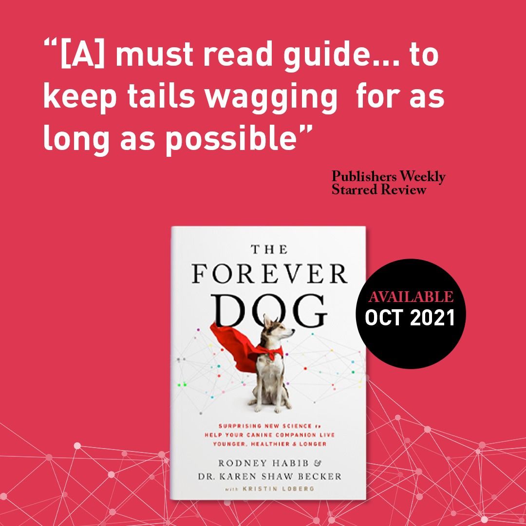 Dr Karen Becker & Rodney Habib Book - The Forever Dog (Hard Cover) : A ...