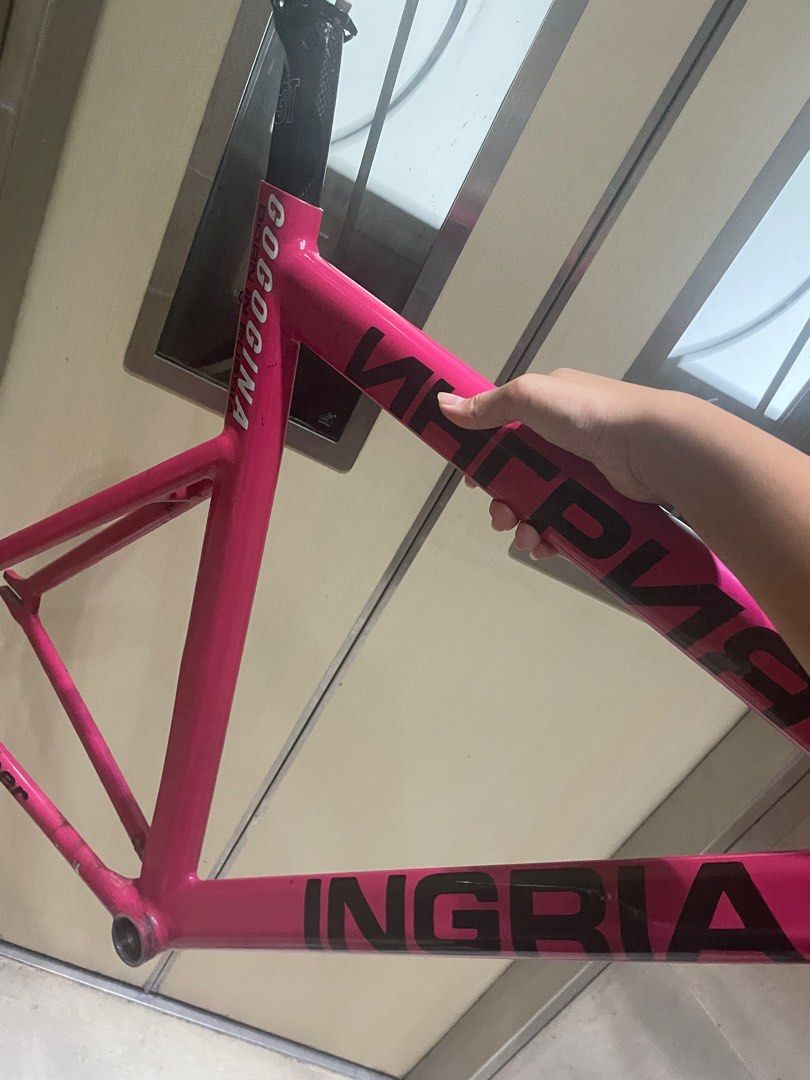 Ingria Airpusher Pink blank frameset, Sports Equipment, Bicycles ...