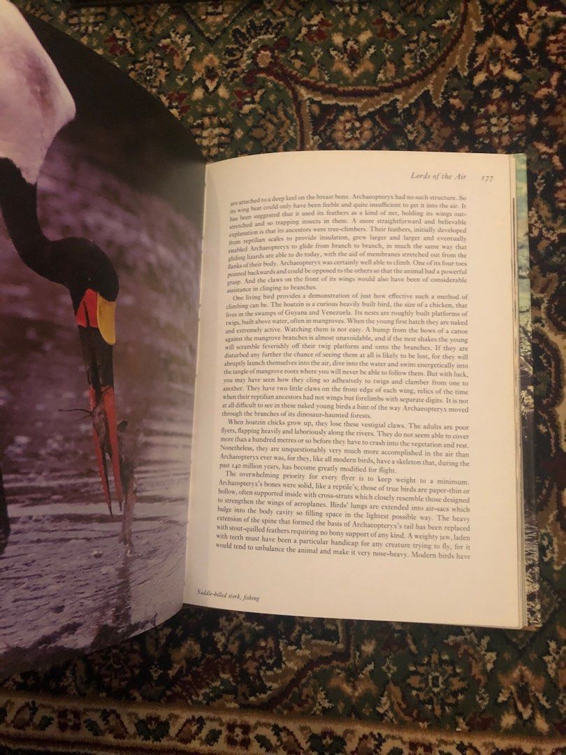 Life on Earth David Attenborough 1980 Book, Hobbies & Toys, Books ...