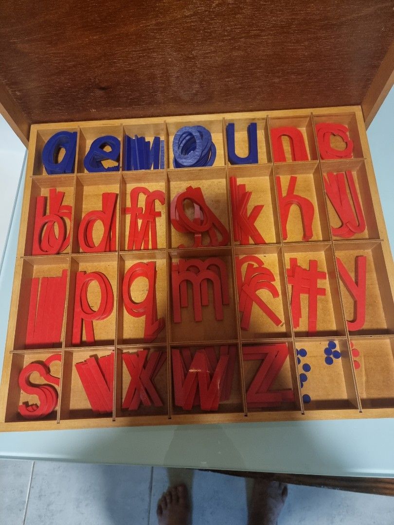 Montessori LMA (Large Movable Alphabet), Hobbies & Toys, Toys & Games ...