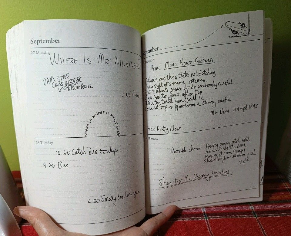 Mr Bean's Diary on Carousell