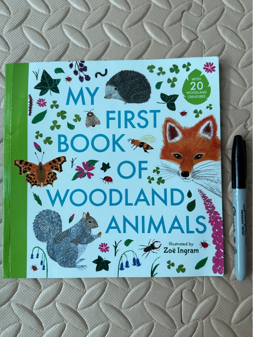 My First Book of Woodland Animals on Carousell
