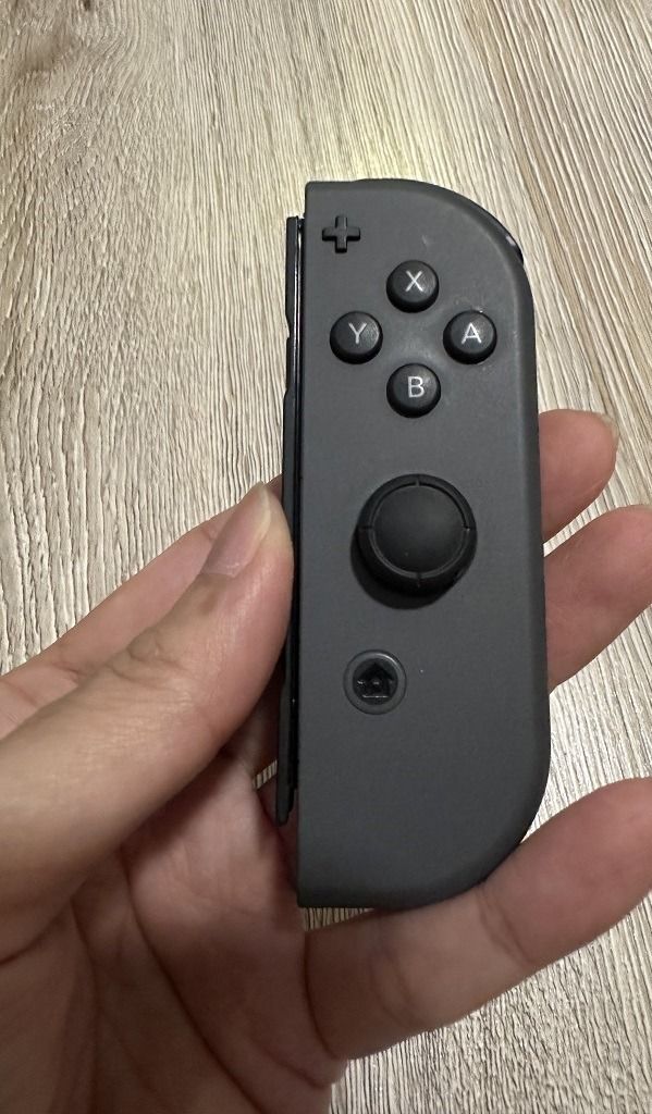 Nintendo Switch V2 Modded Jailbreak Gray Console with Dual Boot 256GB ...