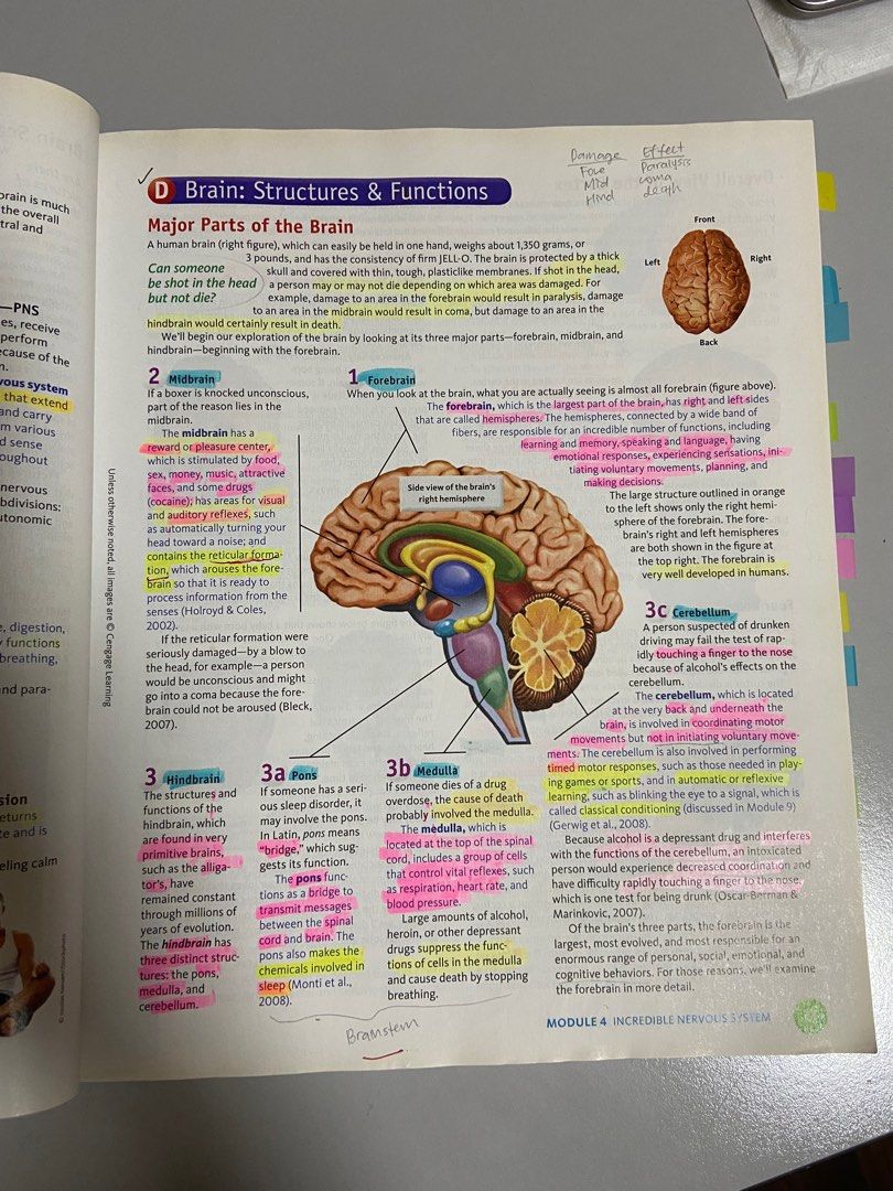 NUS PLB1201 Psychology textbook, Hobbies & Toys, Books & Magazines ...