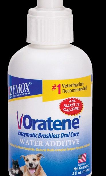 Oratene Enzymatic Brushless Water Additive, Pet Supplies, Health ...