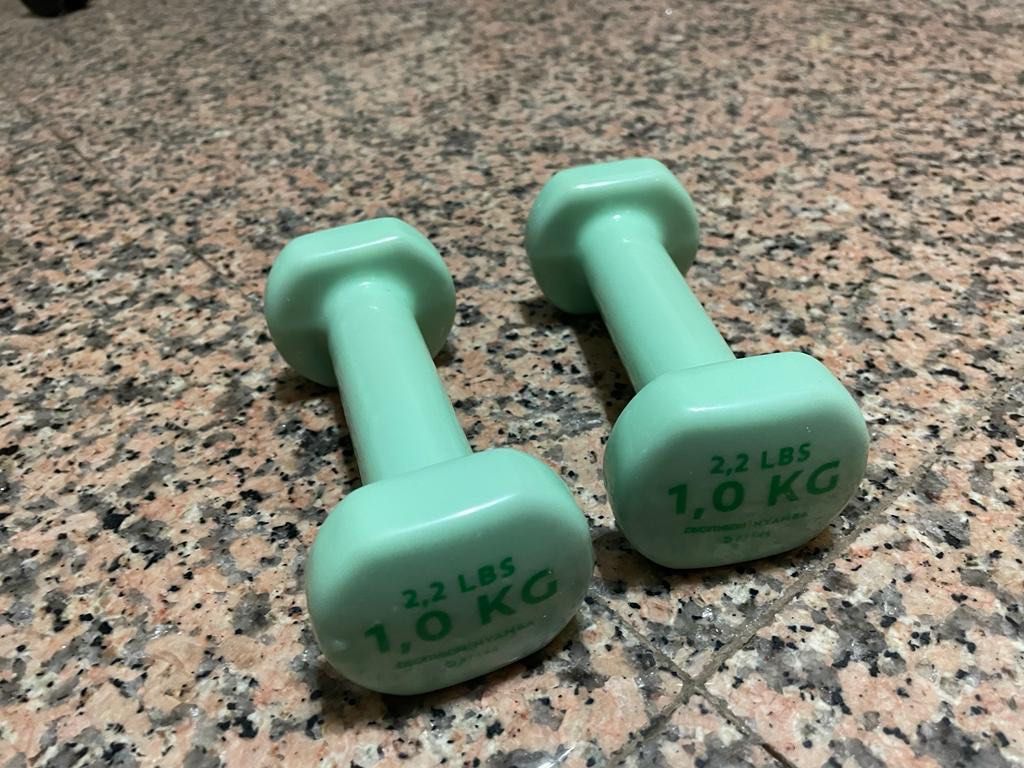 Pair of 1 kg Decathlon dumbbell weights, Sports Equipment, Exercise ...