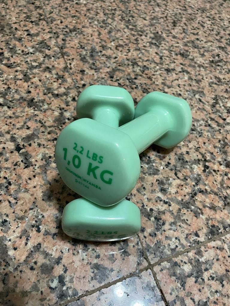 Pair of 1 kg Decathlon dumbbell weights, Sports Equipment, Exercise ...
