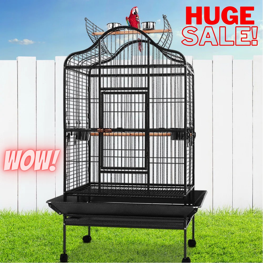 -Parrot cage ,bird cage ,CAG ,medium sized bird ,parrot with open top ...