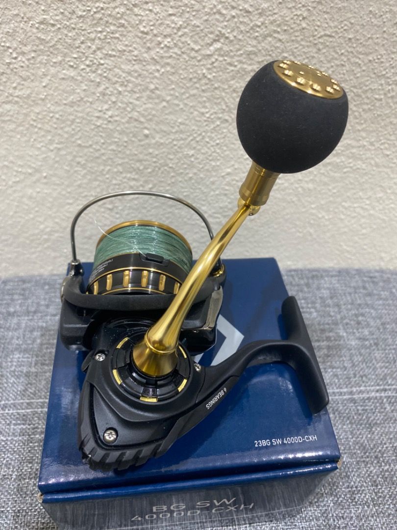 Daiwa BG SW 4000D-CXH, Sports Equipment, Fishing on Carousell