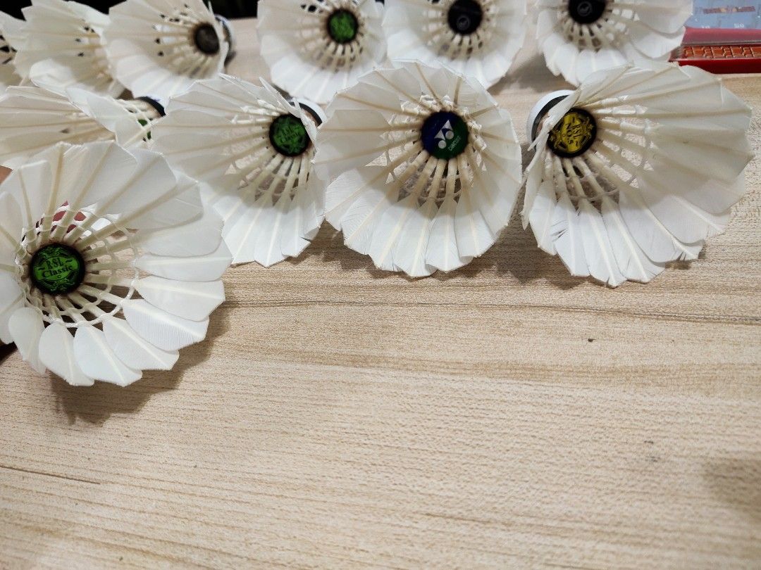 Refurbish Badminton Shuttlecock, Sports Equipment, Sports & Games ...