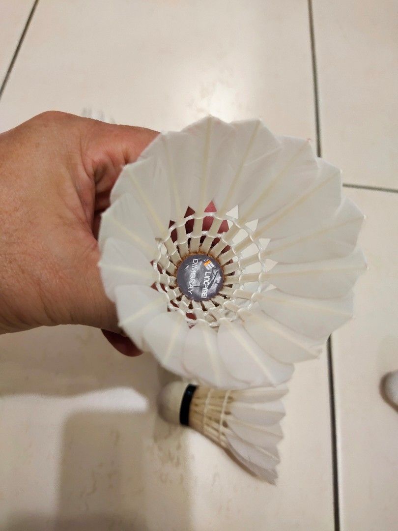 Refurbish Badminton Shuttlecock, Sports Equipment, Sports & Games ...