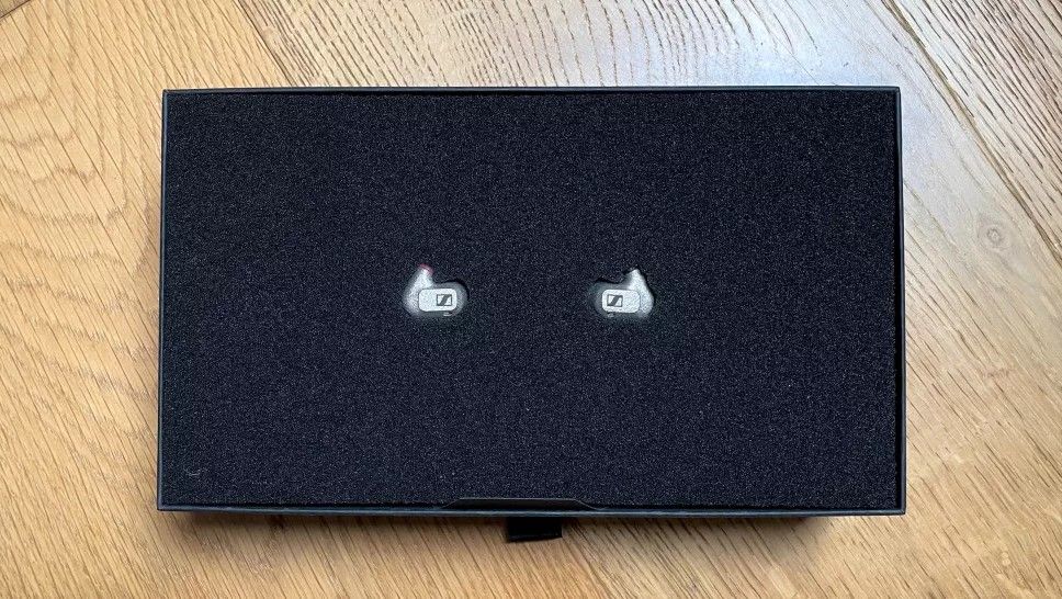 Sennheiser IE600 IE 600 IEM, Audio, Earphones on Carousell