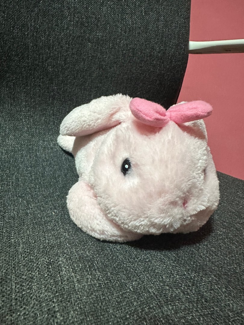 Silly bunny plush, Hobbies & Toys, Toys & Games on Carousell
