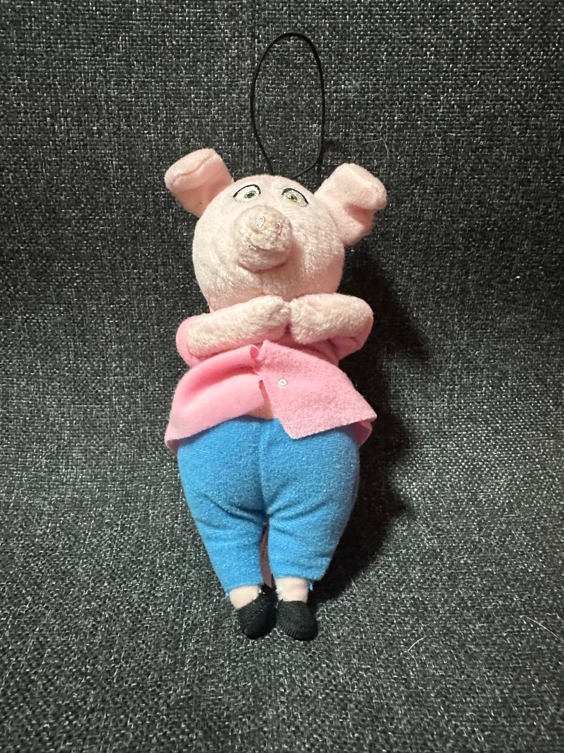 Sing Pig Plush on Carousell