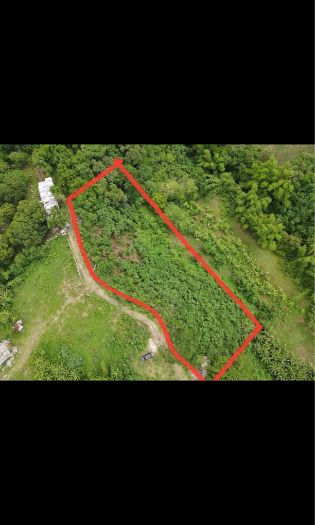 Titled Farm Lot 4,705sqm, Property, For Sale, Lot on Carousell