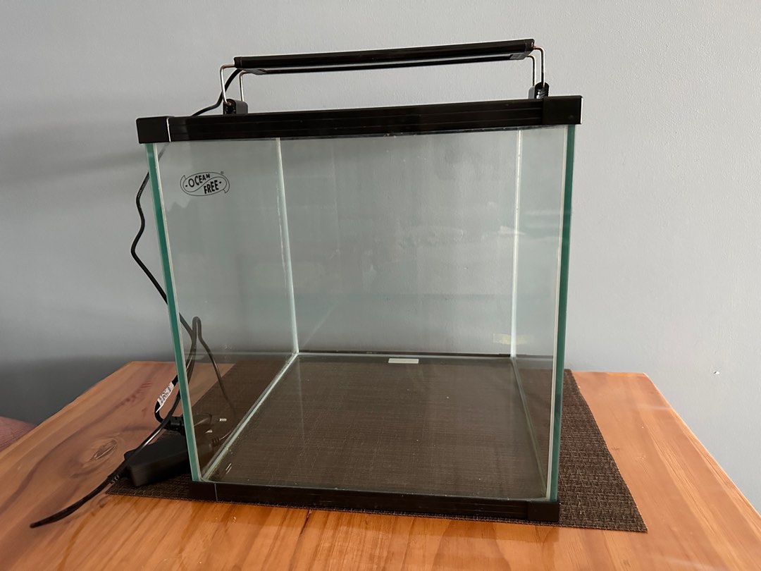 1ft (30cm) cube fish tank, Pet Supplies, Homes & Other Pet Accessories ...