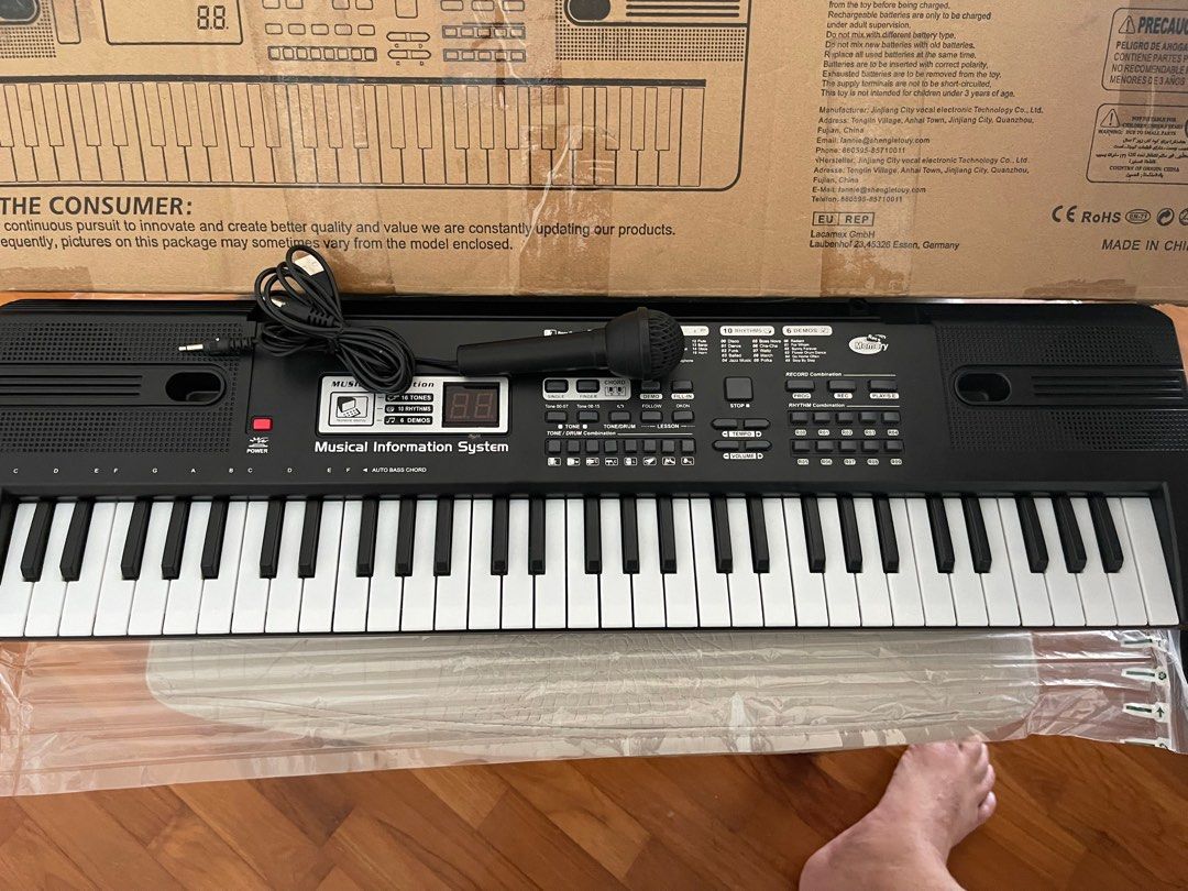 61 Keys Electronic Keyboard, Standard 61 Keys Digital Musical ...