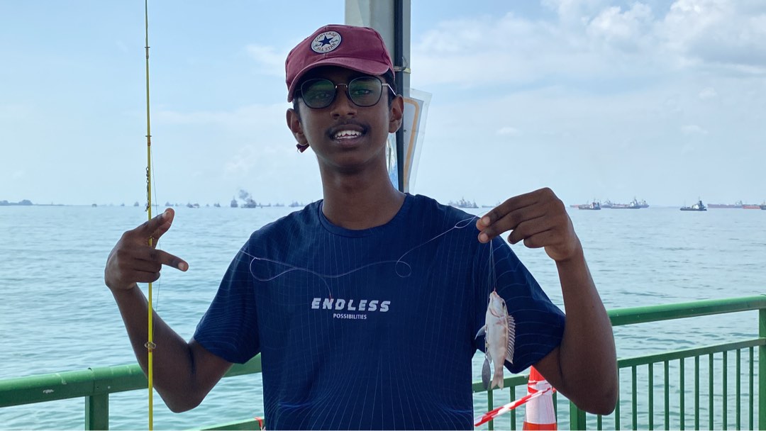 PROVEN Apollo Fishing rig, Sports Equipment, Fishing on Carousell