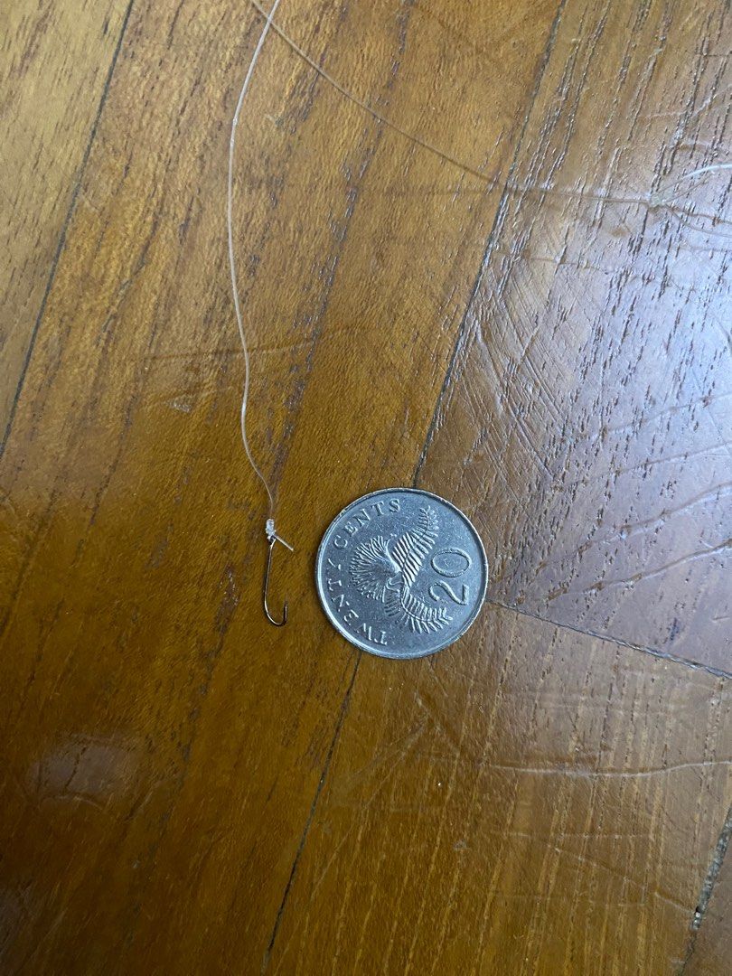 PROVEN Apollo Fishing rig, Sports Equipment, Fishing on Carousell